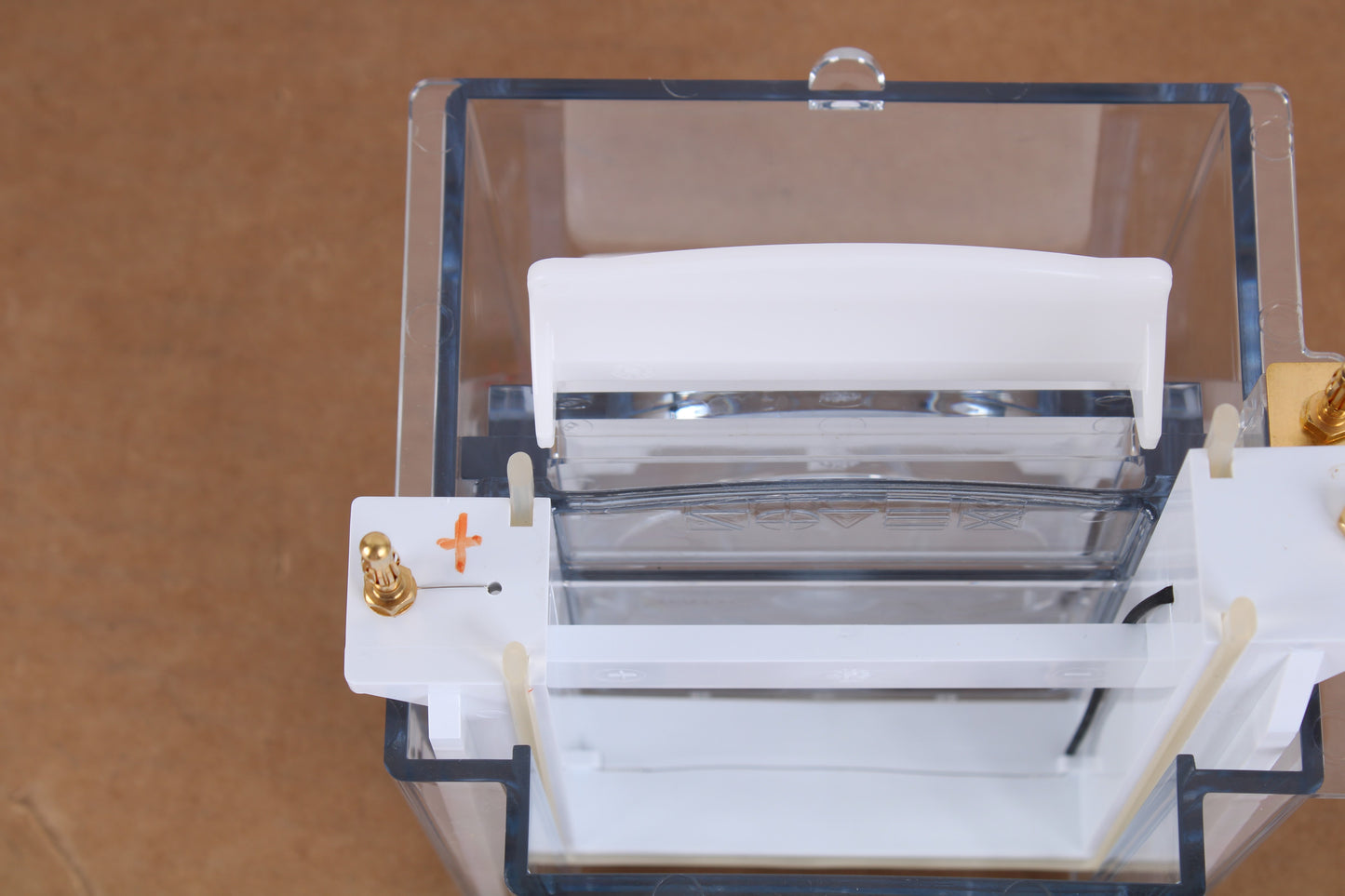 Invitrogen Novex Mini-Cell XCell SureLock Electrophoresis Cell – NTC Tech