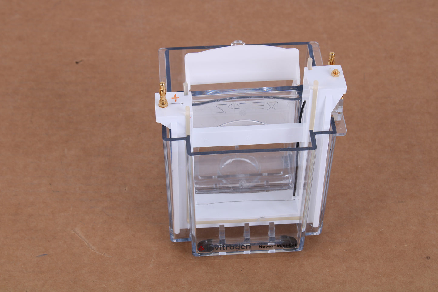 Invitrogen Novex Mini-Cell XCell SureLock Electrophoresis Cell – NTC Tech