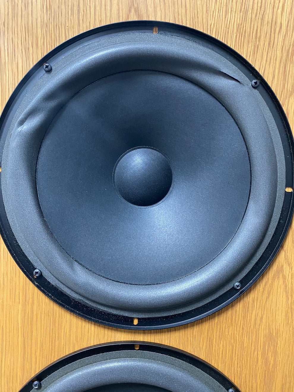 Carver Audio Platinum Edition Oak Finish Amazing Loudspeaker – NTC Tech