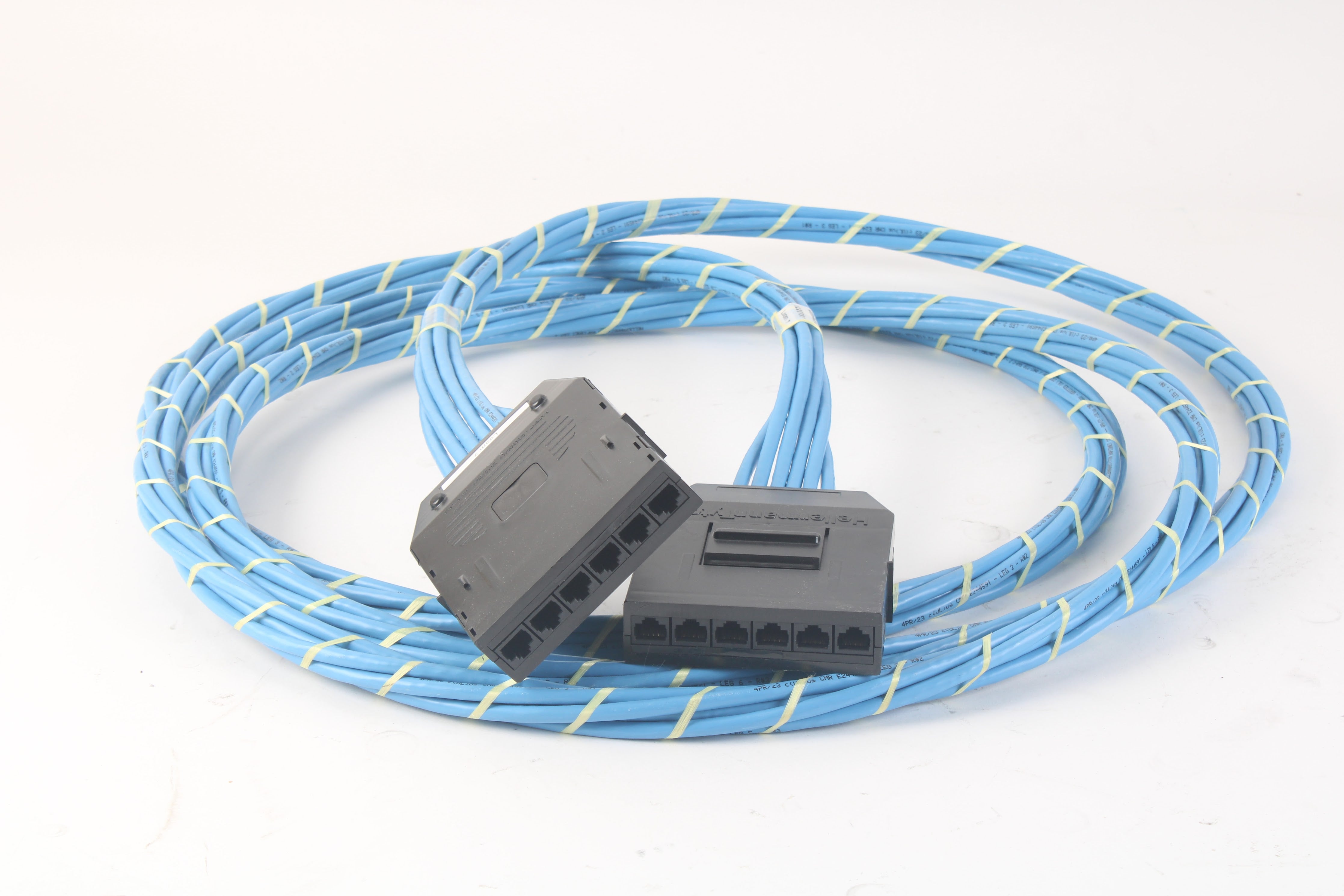 HellermannTyton Rapidnet CAT6 4PR/23G FT4/CMR 16 FT 6-PORT CASS-CASS L ...