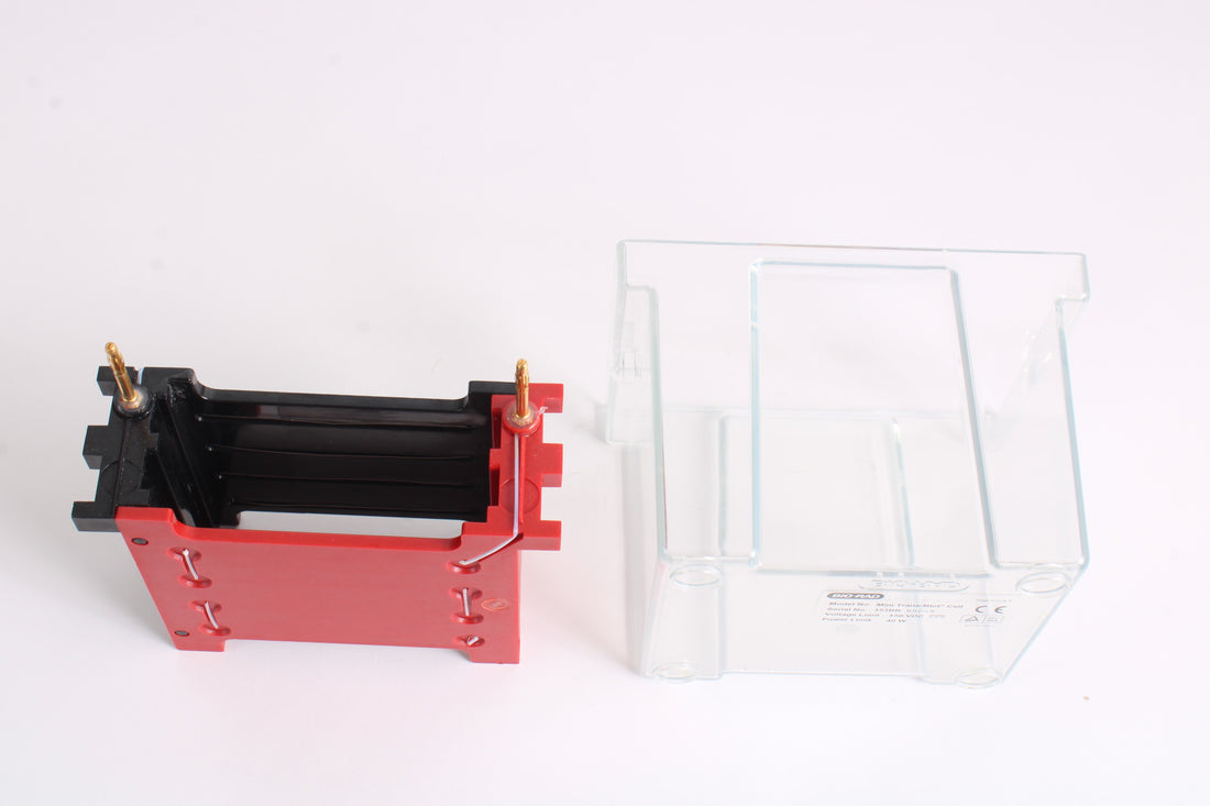 Bio Rad Mini Trans-Blot Cell Electrophoretic Transfer Cell - No Lid ...