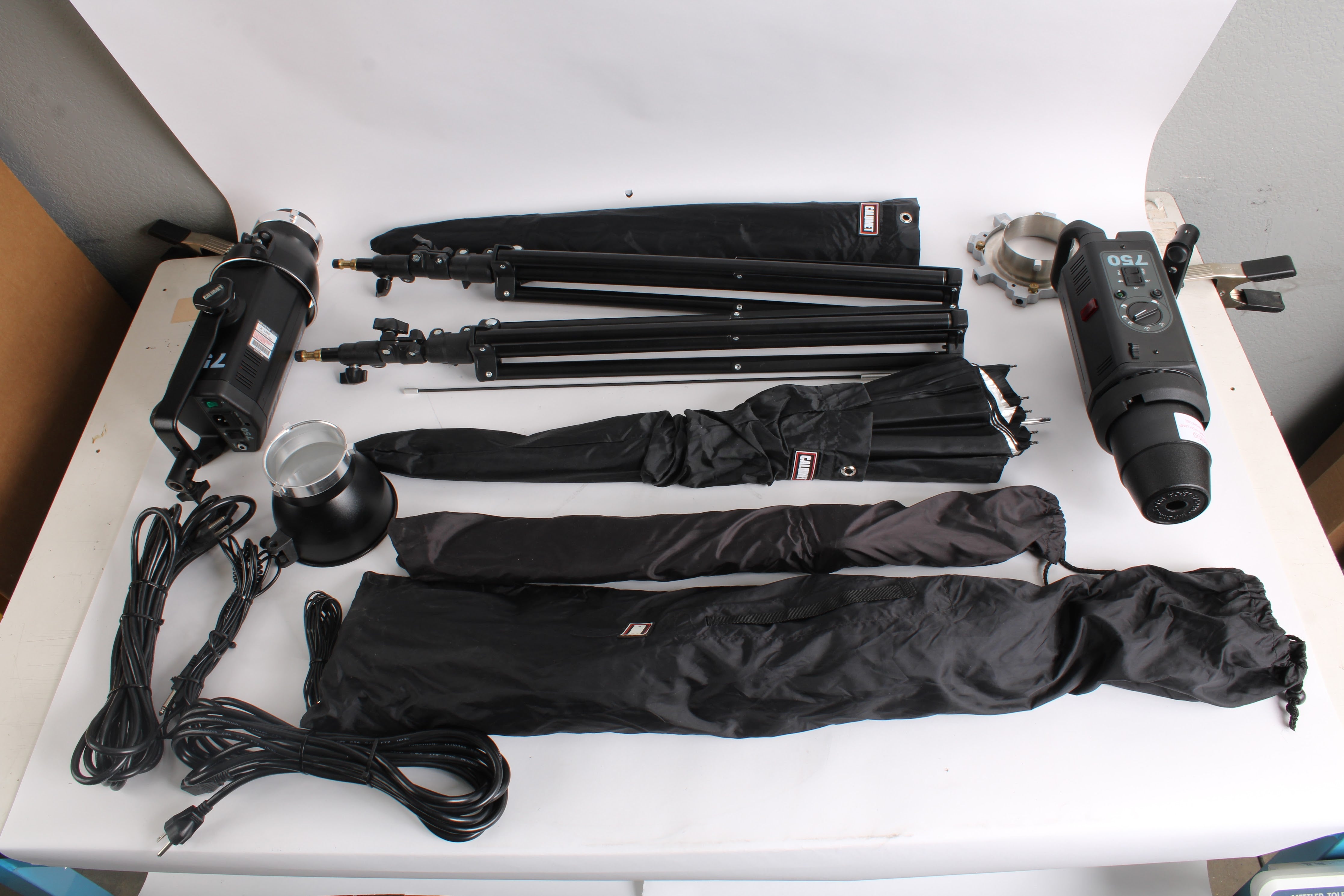 Calumet Bowens 2x: CE-1000 Travelite 750 Monolight W/ 2x: Calumet 367B ...