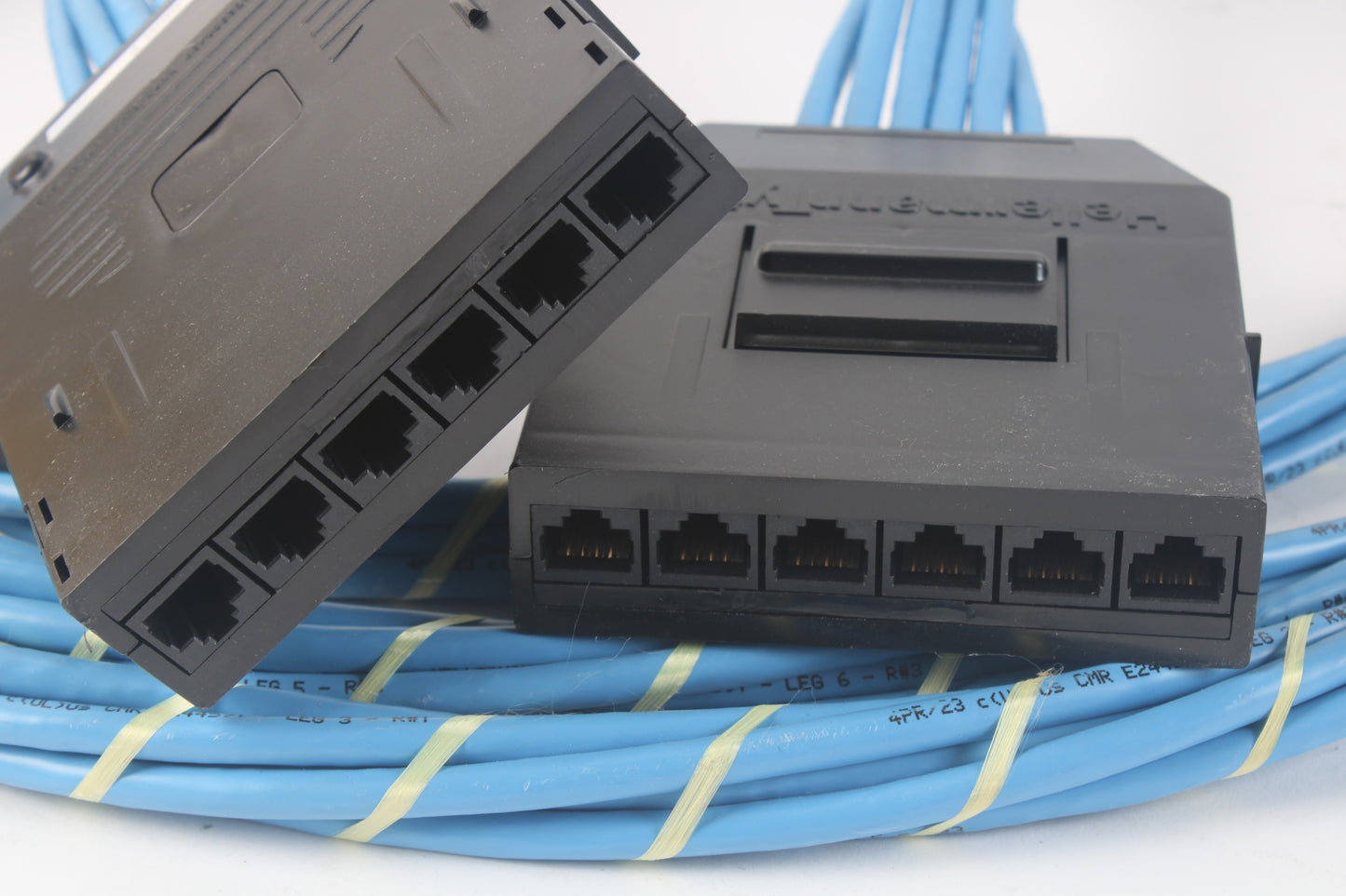 HellermannTyton Rapidnet CAT6 4PR/23G FT4/CMR 16 FT 6-PORT CASS-CASS L ...