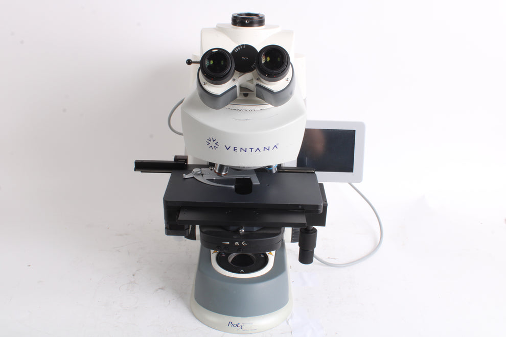 Zeiss Axio Imager M1 Motorized Fluorescence Microscope 430004-0000-711 ...